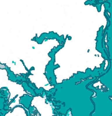 Global Mangrove Watch